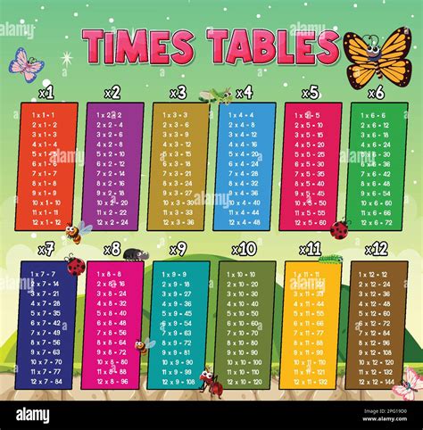 Times Tables Chart For Learning Multiplication Illustration Stock Vector Image And Art Alamy