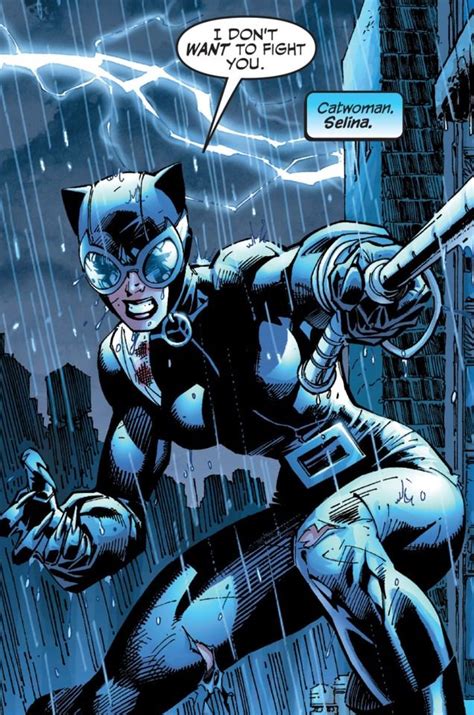 I Dont Want To Fight You Catwoman To Batman In Batman Hush