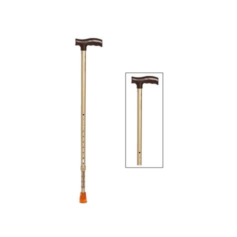 Tynor Walking Stick L Type L 08 Cureka