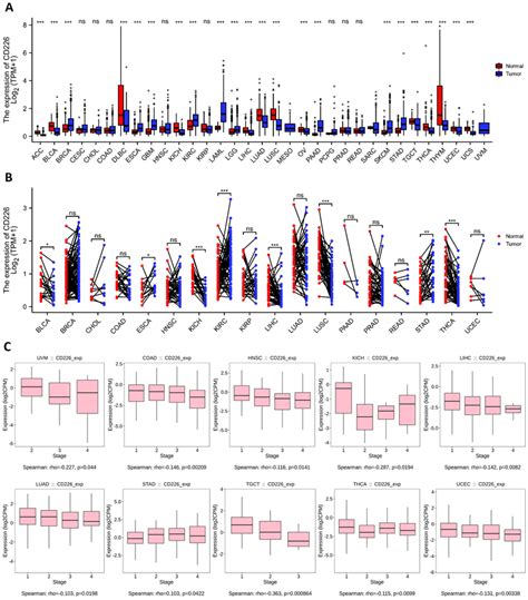 Cd226 Expression Analysis In Human Pan Cancer A Box Plots Comparing
