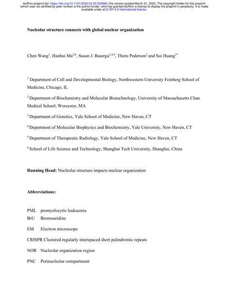 Pdf Nucleolar Structure Connects With Global Nuclear Organization