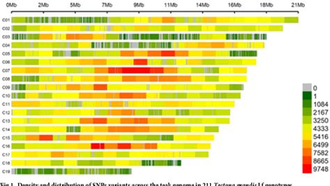 Figure 1 From Reassessing The Genetic Variability Of Tectona Grandis