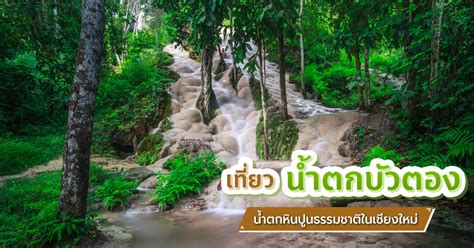 ความคิดเห็น เที่ยวน้ำตกบัวตอง จังหวัดเชียงใหม่ น้ำตกหินปูนธรรมชาติ ปีน