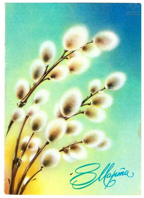 Iverieli სარვამარტო მისალოცი ბარათი