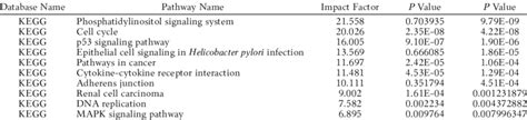 Gene Ontology Go Biological Process Analysis Download Table