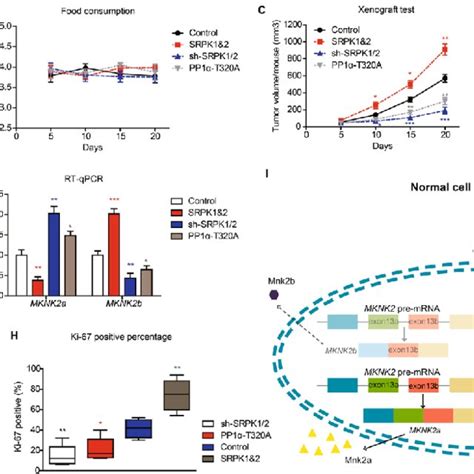 Overview Of As Events Profiling In Hcc A Flowchart For Profiling The