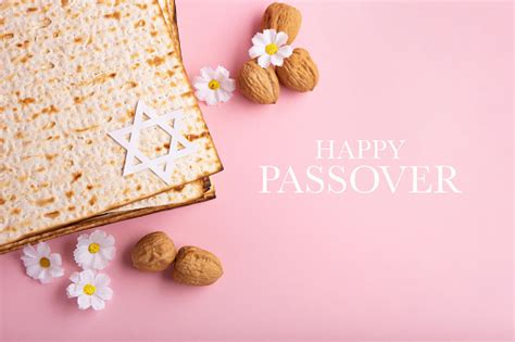 분홍색 배경에 Matzah 견과류 봄 꽃이 있는 유월절 인사말 카드 Film Festival에 대한 스톡 사진 및 기타 이미지