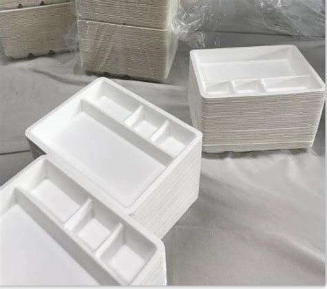 Sugarcane Pulp Disposable Biodegradable Tray From China China