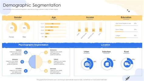 Demographic Segmentation Example Powerpoint Presentation And Slides Slideteam
