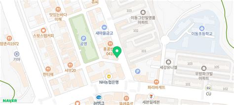 포항이동사거리 반려견사진 강아지사진 더예쁜사진관 포항이동점 네이버 블로그