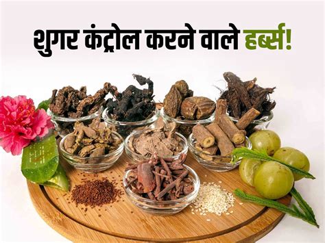 Sugar Kam Karne Ke Ayurvedic Upay सिर्फ ये 5 चीजें आपके ब्लड शुगर को