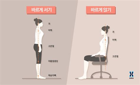 심평원바른자세 구부정한 나의 몸 바른자세와 스트레칭으로 교정하기 네이버 블로그