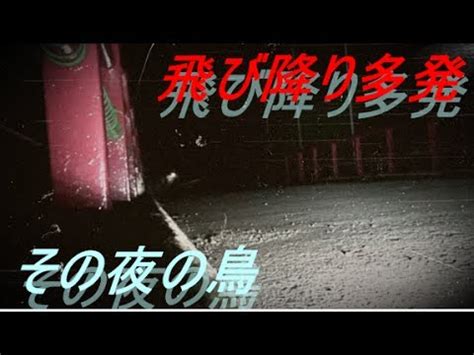 心霊スポット琴平橋 その夜の鳥 22夜神流湖 YouTube