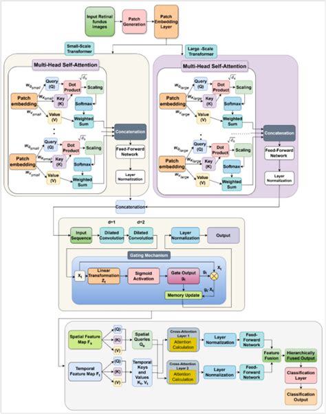 Attention Dual Transformer With Adaptive Temporal Convolutional For… Identifeye Health