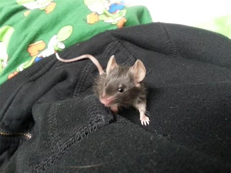 Her Name Is Sparkles R Aww
