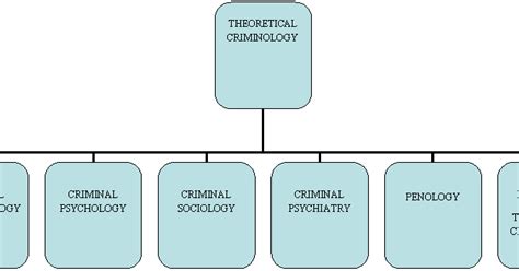 Biological Theories Of Crime Causation In Criminology ~ University