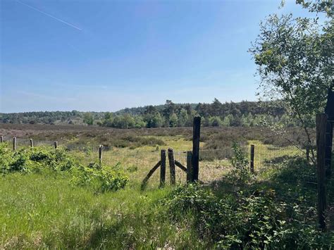 Nederland Paleis T Loo Apeldoorn