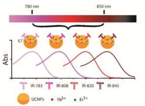 Tailoring Dye Sensitized Upconversion Nanoparticle Excitation Bands Towards Excitation