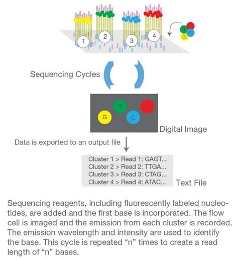 next generation sequencing technologies and applications biodbt