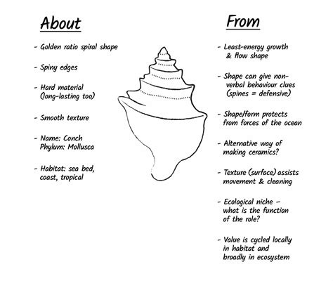 What Really Is Biomimicry