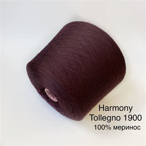 Пряжа меринос Harmony Tollegno 1900 купить в интернет-магазине Ярмарка ...