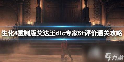 Dlc S
