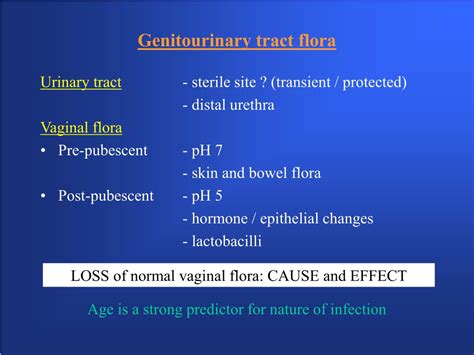 Ppt Normal Microbial Flora “ Microbiota” Prof Khaled H Abu Elteen