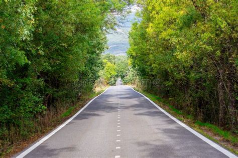 Straight Tarmac Road Through Green Deciduous Forest In Cuenca Alta Del