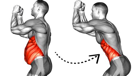 Abs Exercises Do It Everyday For A 6pack Abs Weightblink