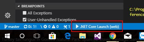 Asp Net Core D Ng Vscode V Target Net Framework Tuan Tran S