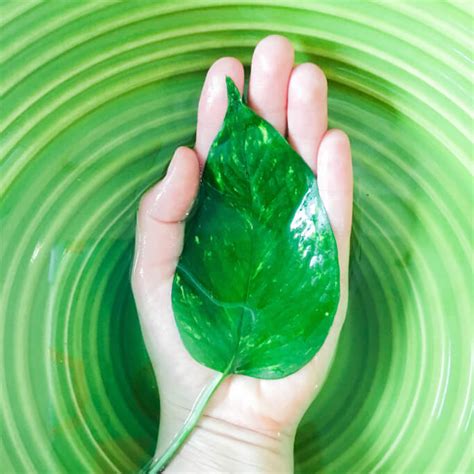 Which Off Grid Water System Is Best For You And Your Home