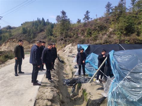 许淞赴平江县仁义村督导调研乡村振兴工作
