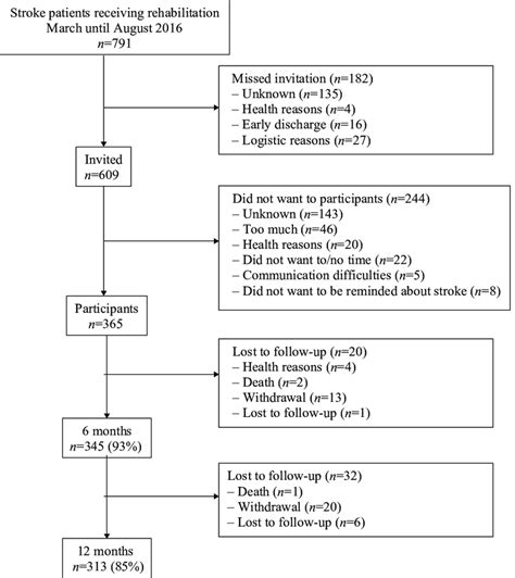 Flowchart Of Stroke Patients Included In The Stroke Cohort Outcomes Of