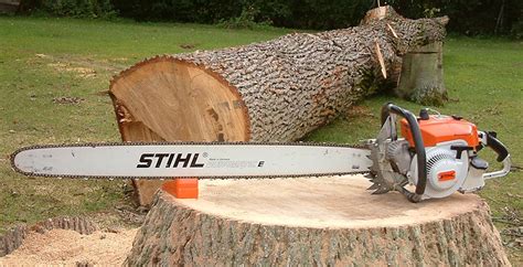 Key Tree Trimming Tools For Pruning And Shaping Your Garden Green Tree Co