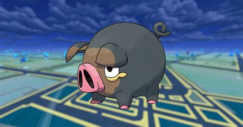 Shiny Lechonk Evolution Chart 100 Perfect Iv Stats And Oinkologne