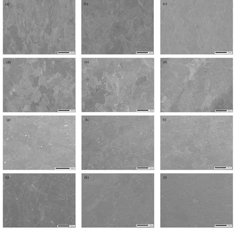 The Microstructure Of Longitudinal Section ∥bd Of Hip Samples Of A Download Scientific