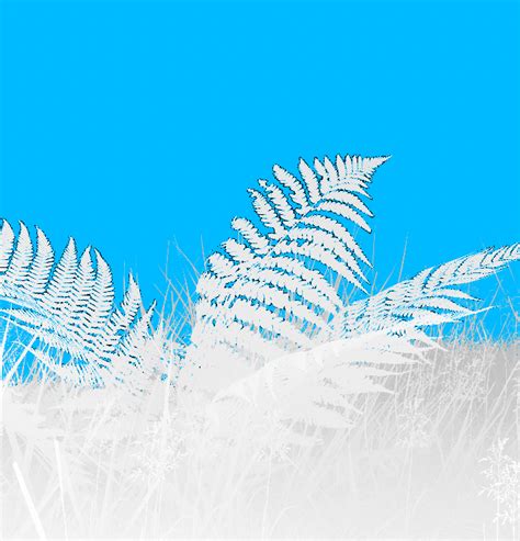 Z Depth Aov Weird Black Edges Around Meshes With Opacity Maps Autodesk Community