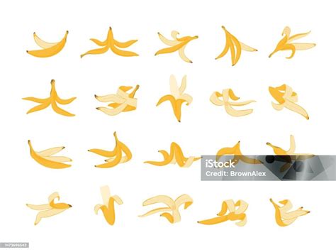 Kulit Pisang Template Sampah Organik Kartun Kulit Pisang Pipih