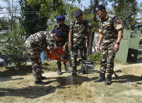 Sashastra Seema Bal On Twitter RT SSBSHQSRINAGAR Plantation Drive