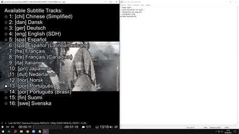 How To Choose An Alternate Subtitle Rmpv