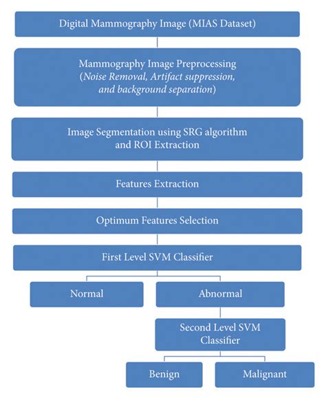 A Flow Diagram Of The Proposed Cad System Methodology Download Scientific Diagram