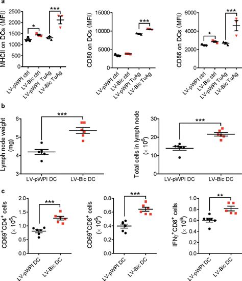 Lentivirus Mediated Mir155 Overexpression Enhances The Capability Of