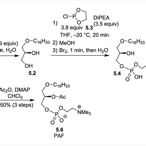 Four Step Synthesis Of Paf 5 6 From S Glycidol [73] Download Scientific Diagram