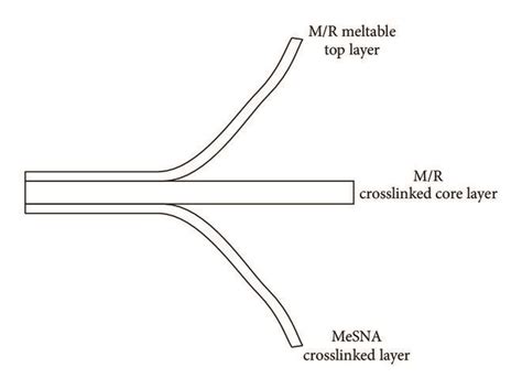 Diagram Of Mr Mesna Film Construction Mr Bilayer Film Is First