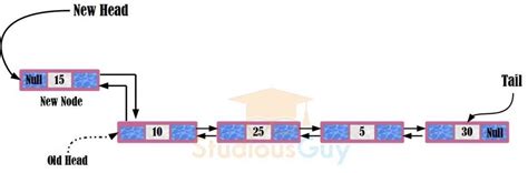 Doubly Linked List In Data Structure Studiousguy