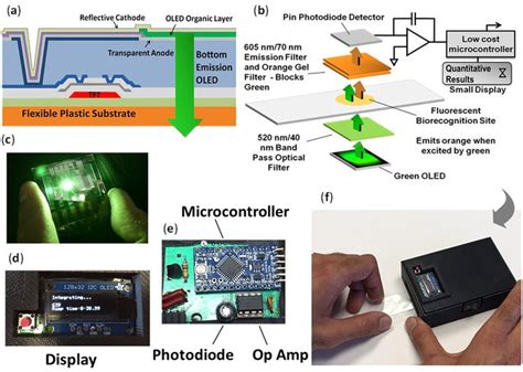 A Cross Section Of The Phosphorescent Green Oled Device Structure In Download Scientific