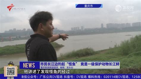 男子手臂被玻璃割伤 热心的哥送医救回一命 荔枝网