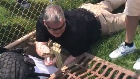 9 Ducklings Rescued From Sewer Grate At Hamilton School