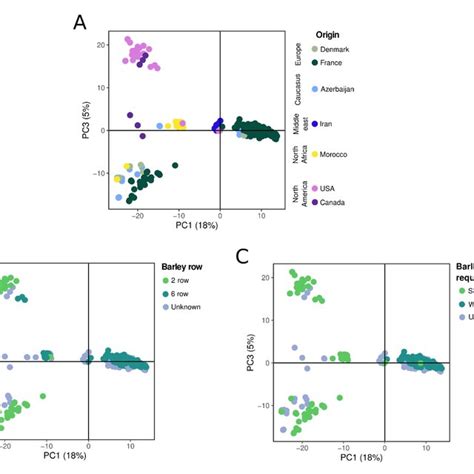 Identification Of The Two Different Forms Of Pyrenophora Teres Present