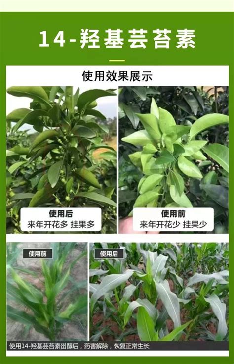 凯绚 00114羟基芸苔素甾醇 调节生长，促生根，解药害 农查查